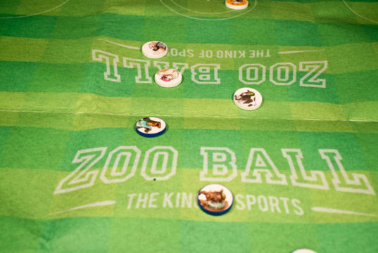 Zoo Ball Review - Board Game Quest
