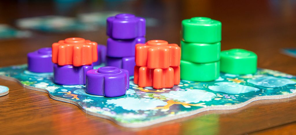 Reef Review - Board Game Quest