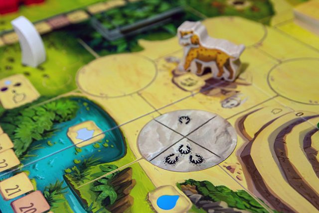 Honga Review - Board Game Quest
