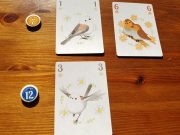Songbirds Review - Board Game Quest