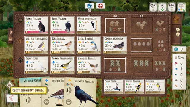 Interview with Elizabeth Hargrave, Designer of Wingspan - Board Game Quest