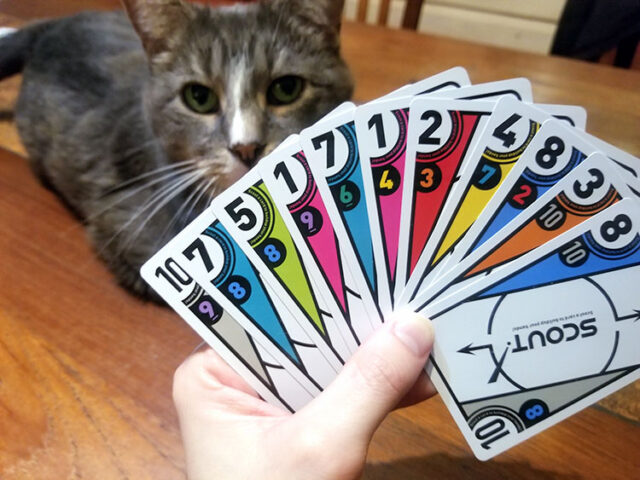 SCOUT! Game Review - Board Game Quest