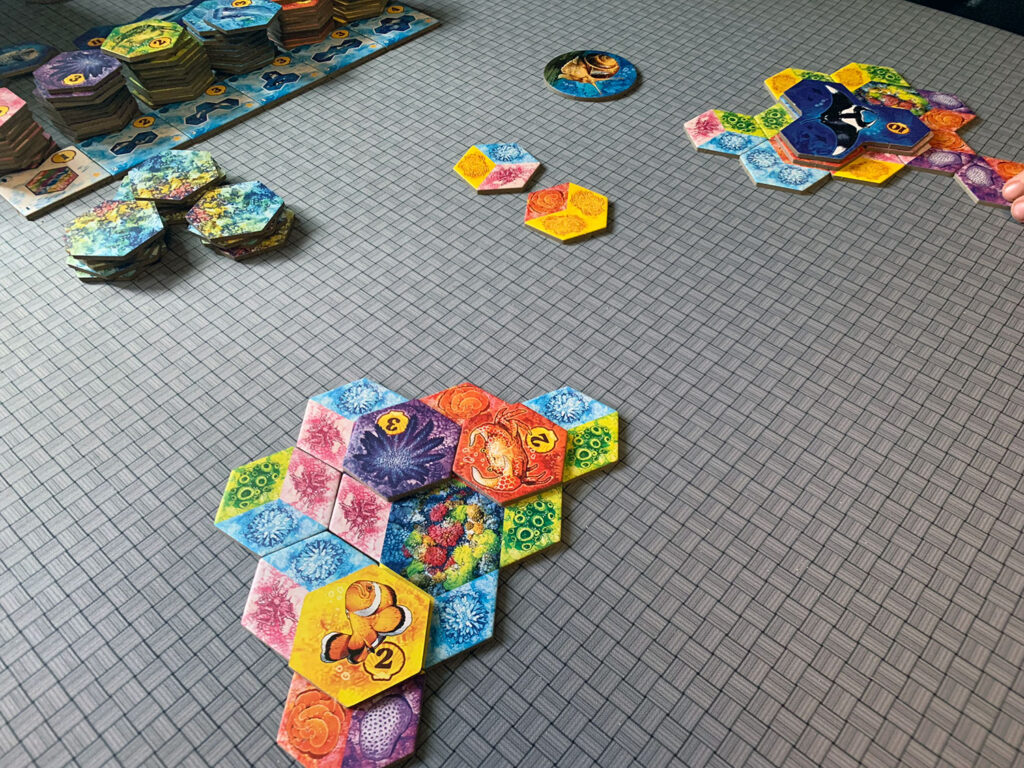 Aqua Biodiversity in the Oceans Review - Board Game Quest