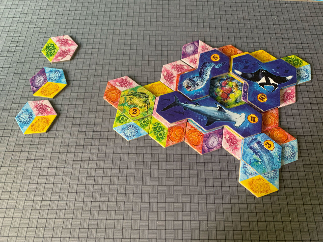 Aqua Biodiversity in the Oceans Review - Board Game Quest
