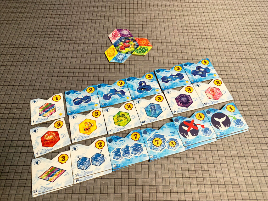 Aqua Biodiversity in the Oceans Review - Board Game Quest