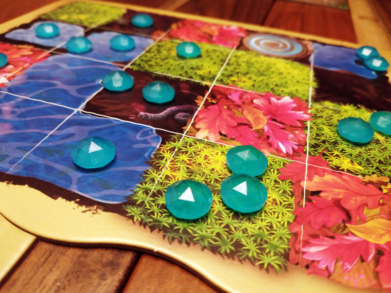 Mycelia Review - Board Game Quest