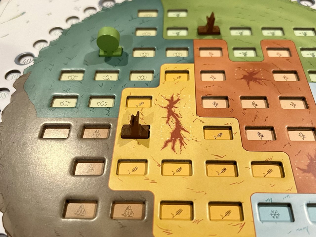 Evergreen Review - Board Game Quest