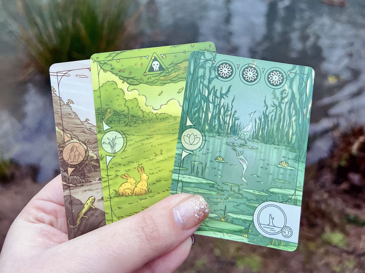 Evergreen Review - Board Game Quest