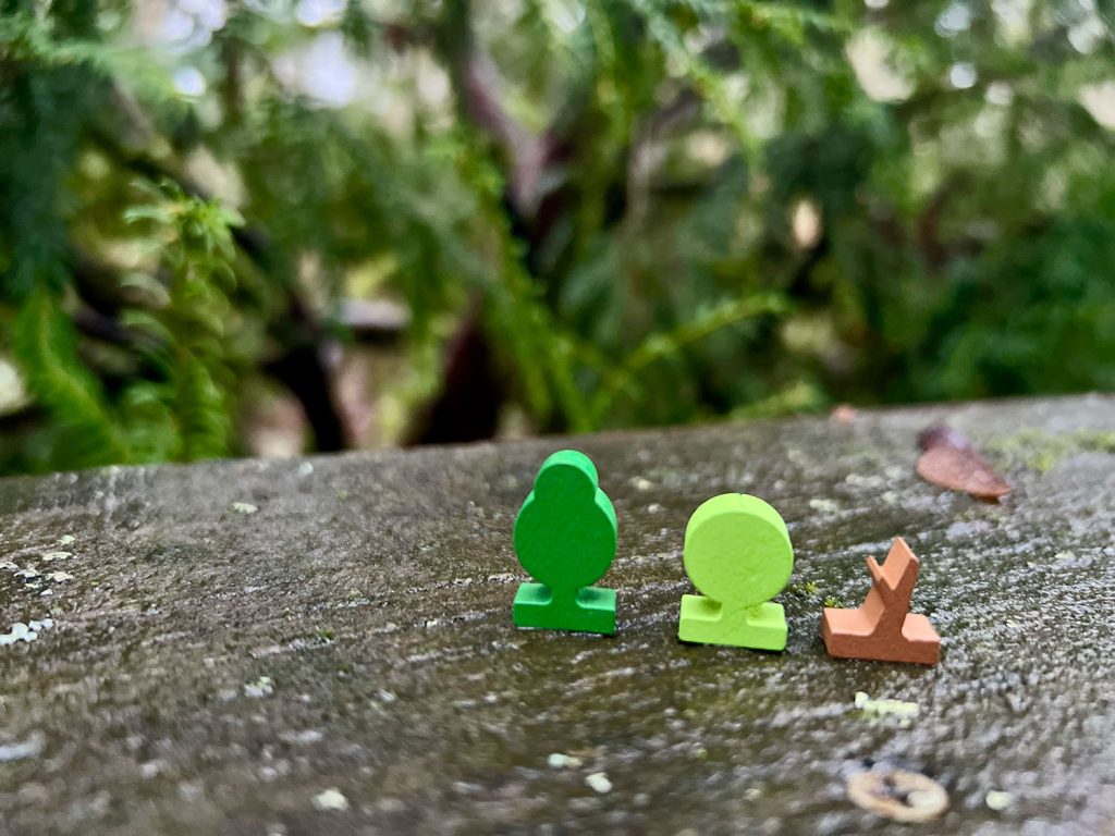 Evergreen Review - Board Game Quest