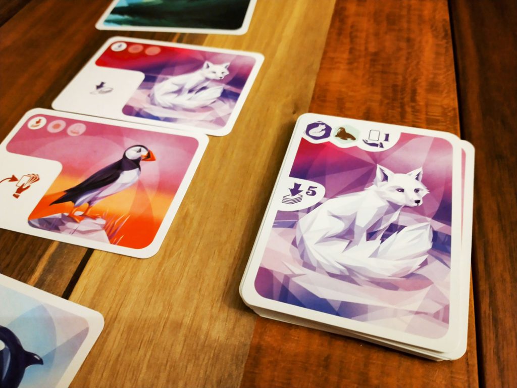 Arctic Review - Board Game Quest