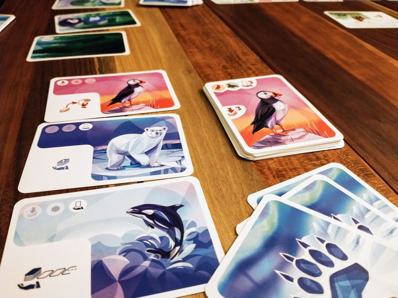 Arctic Review - Board Game Quest