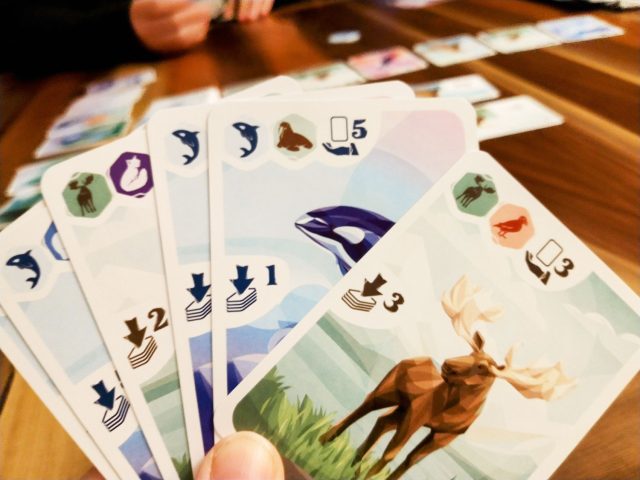 Arctic Review - Board Game Quest