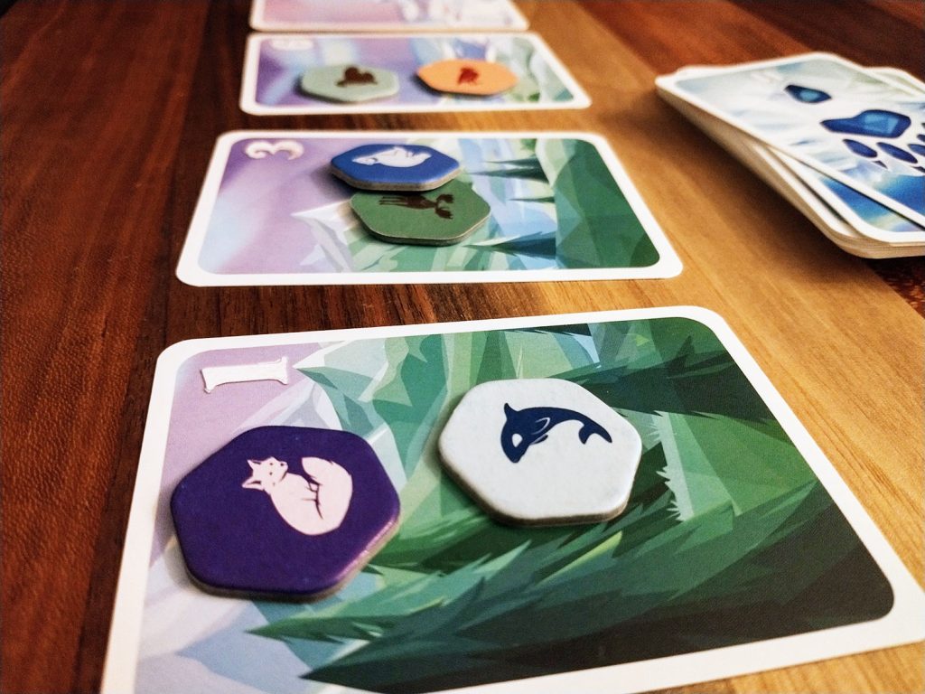 Arctic Review - Board Game Quest
