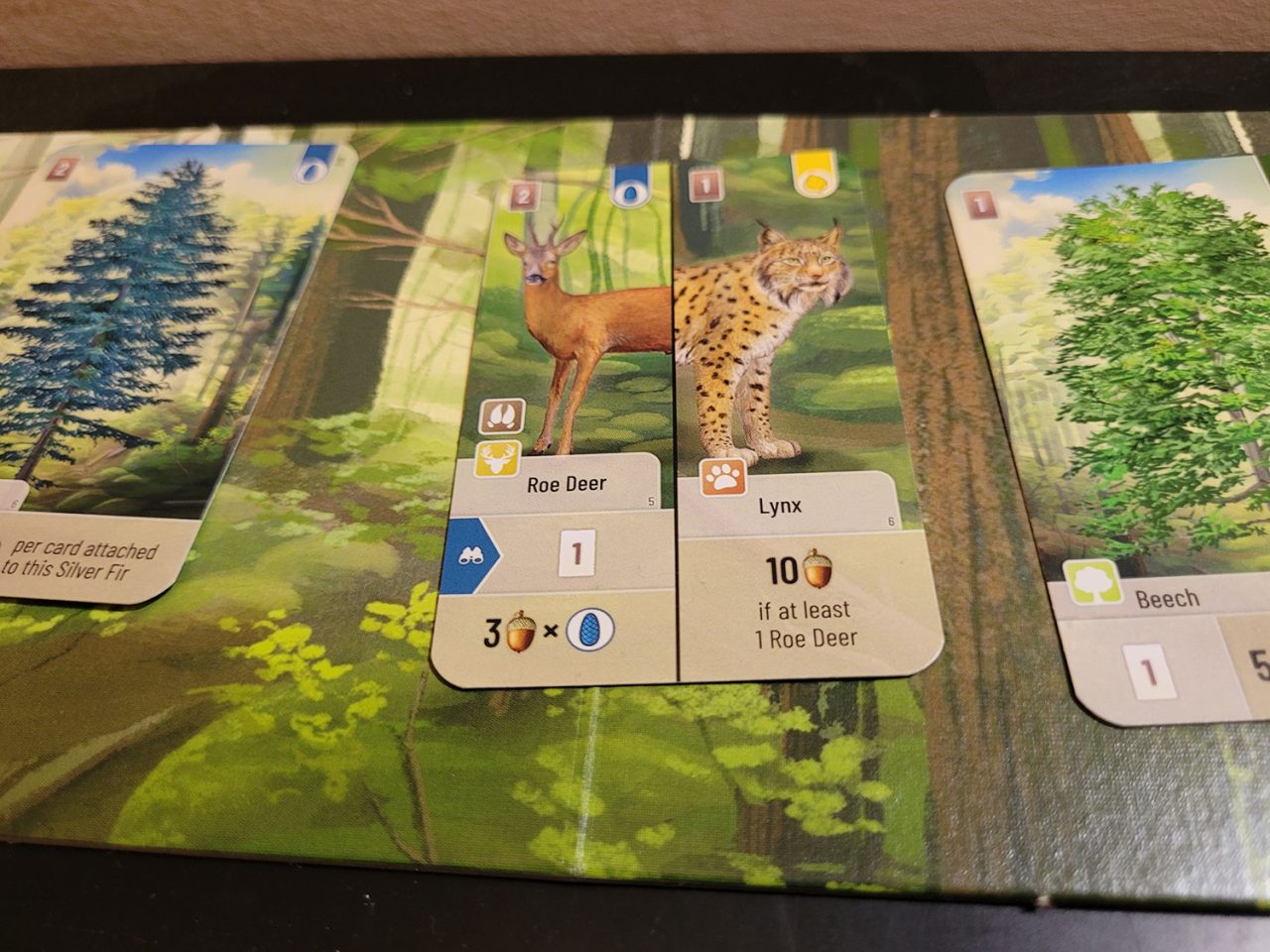 Forest Shuffle Review - Board Game Quest
