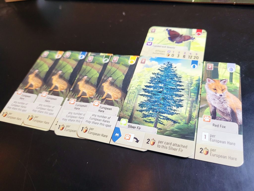 Forest Shuffle Review - Board Game Quest