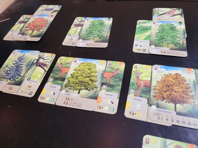 Forest Shuffle Review - Board Game Quest