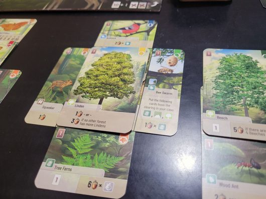 Forest Shuffle: Woodland Edge Review - Board Game Quest