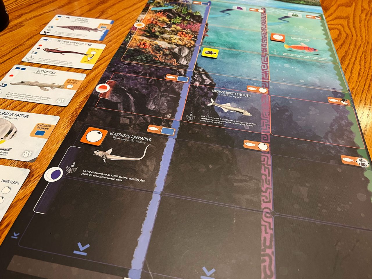 Finspan Review - Board Game Quest