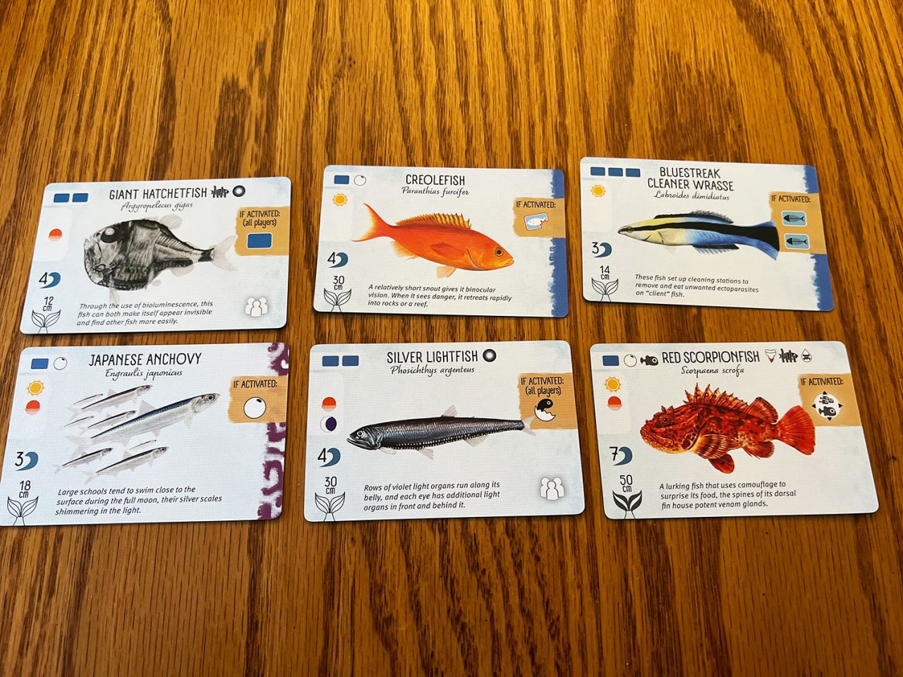 Finspan Review - Board Game Quest