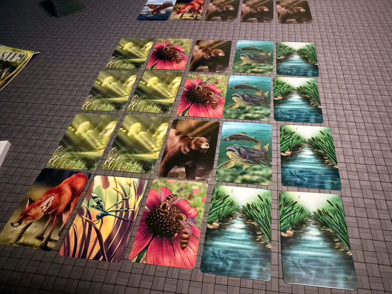 Ecosystem Review - Board Game Quest