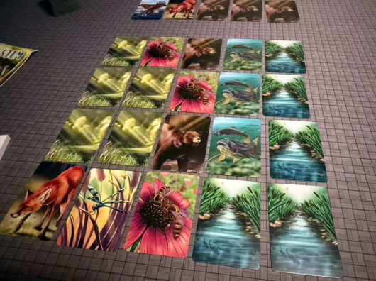 Ecosystem Review - Board Game Quest