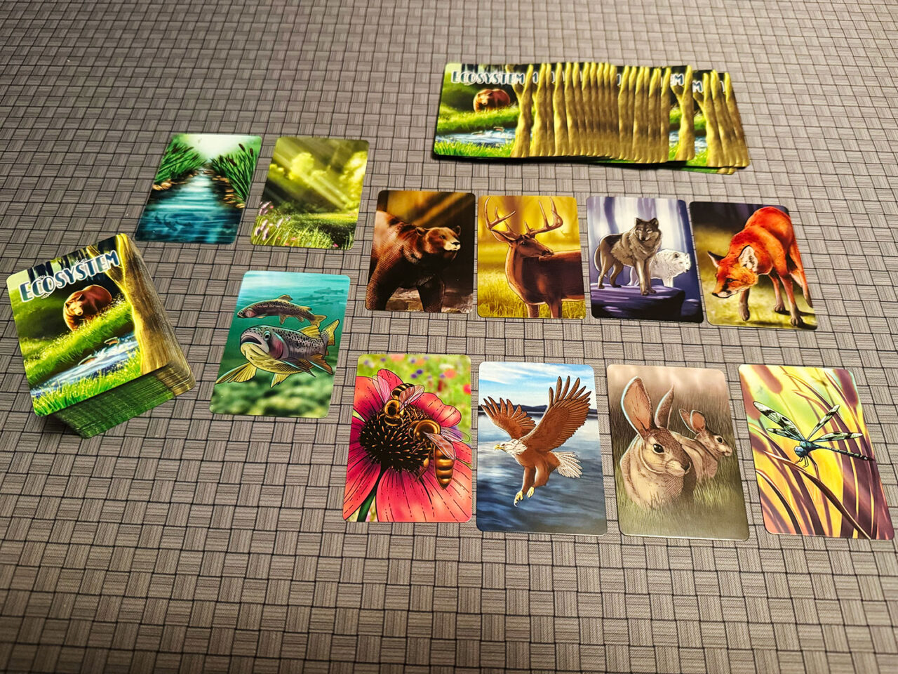 Ecosystem Review - Board Game Quest