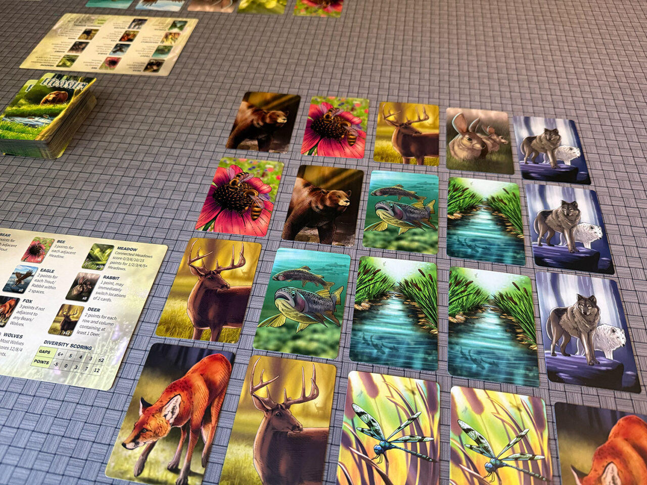 Ecosystem Review - Board Game Quest