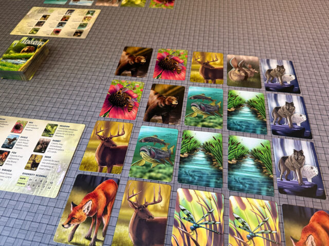 Ecosystem Review - Board Game Quest