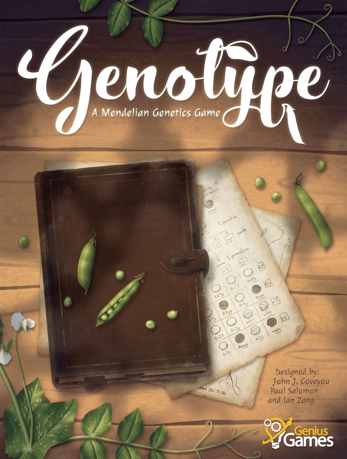 Genotype: A Mendelian Genetics Game Review - Board Game Quest