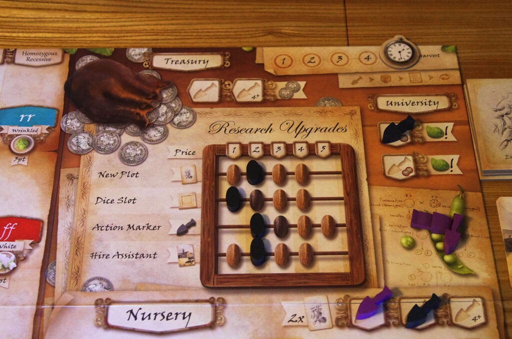 Genotype: A Mendelian Genetics Game Review - Board Game Quest