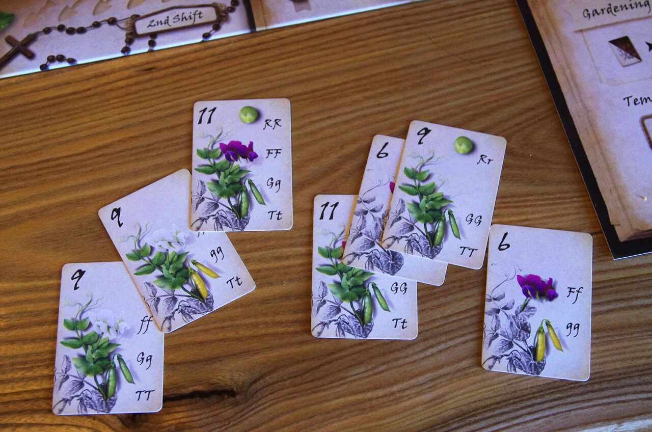 Genotype: A Mendelian Genetics Game Review - Board Game Quest