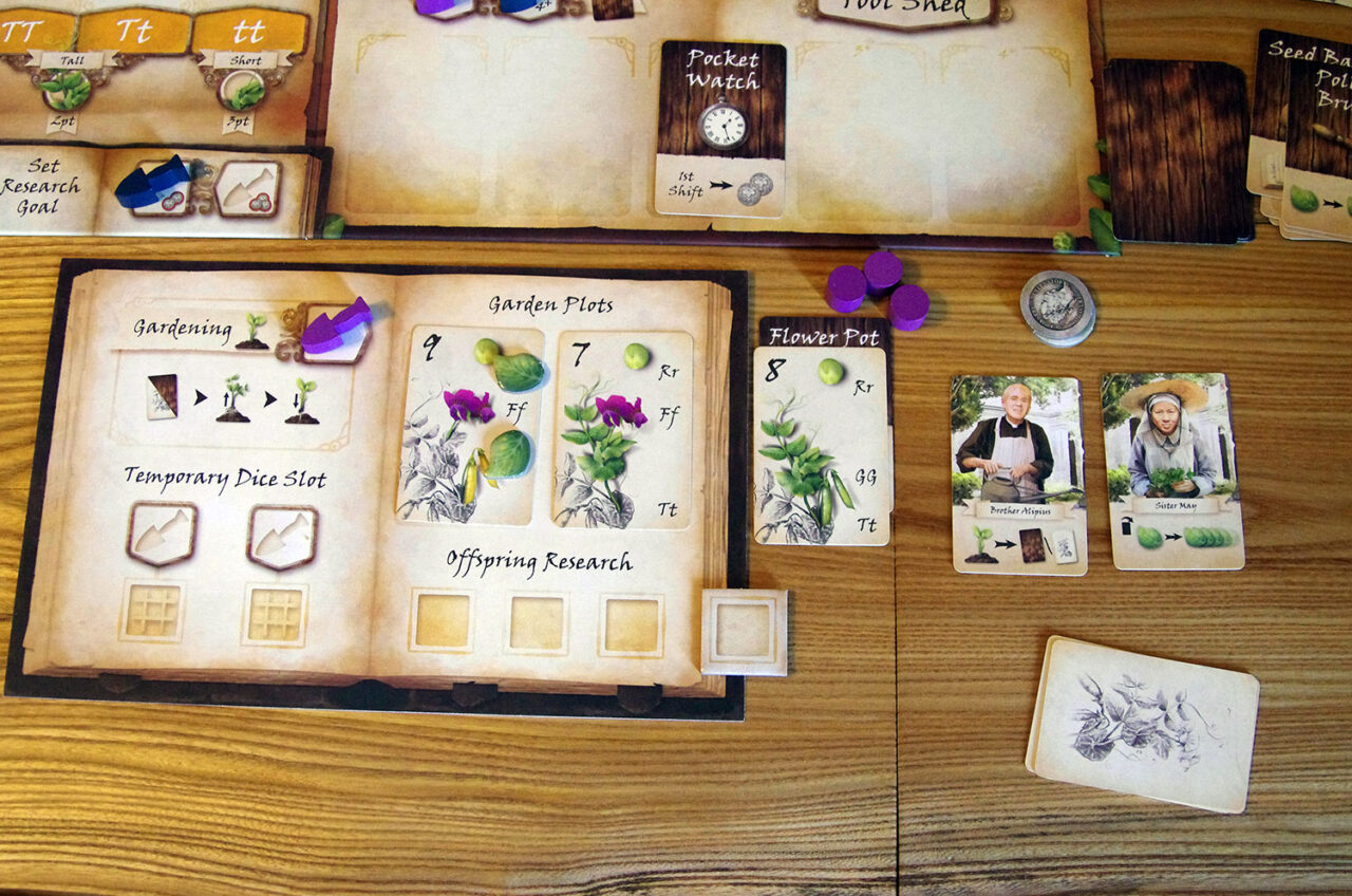 Genotype: A Mendelian Genetics Game Review - Board Game Quest